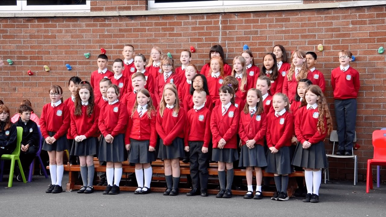 Fort Hill Integrated Primary School - Queen's Green Canopy Tree ...