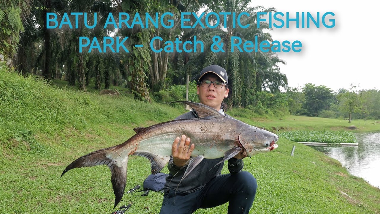 Casting at Batu Arang Exotic Fishing Park - YouTube