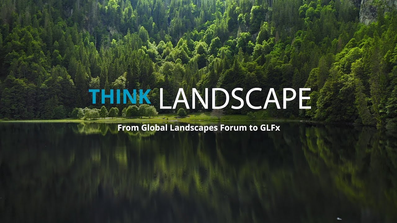 Think Landscape - From Global Landscapes Forum to GLFX - YouTube