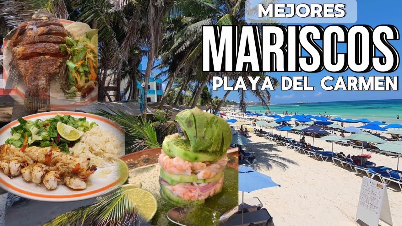 ENCONTRAMOS unos RICOS 😋 Mariscos en Playa del Carmen 🏖️/ Donde COMER ...