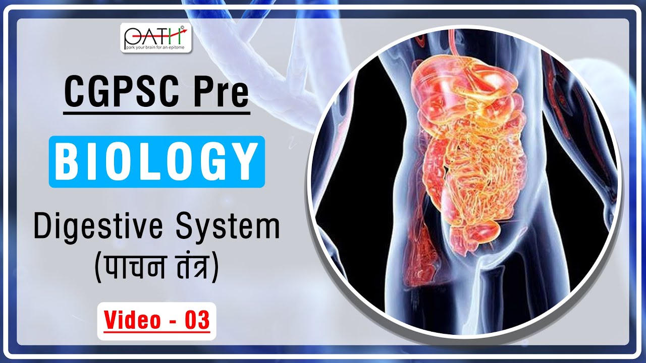 Biology CGPSC Pre "Digestive System" - YouTube