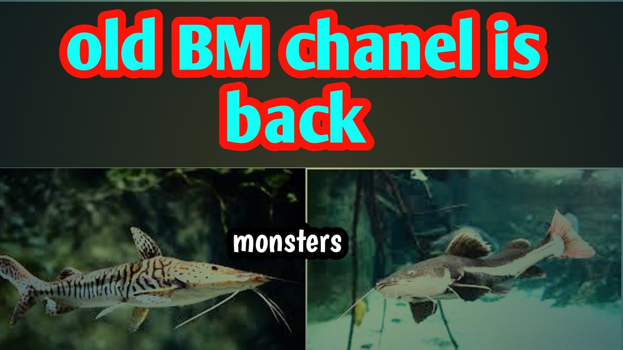old bm was back !!!💀💀💀 - YouTube