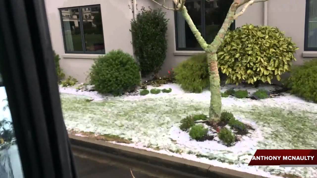 Snow in Auckland in August - YouTube