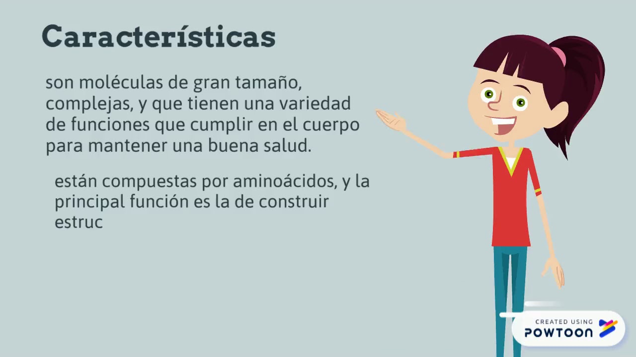 prótidos o proteínas - YouTube