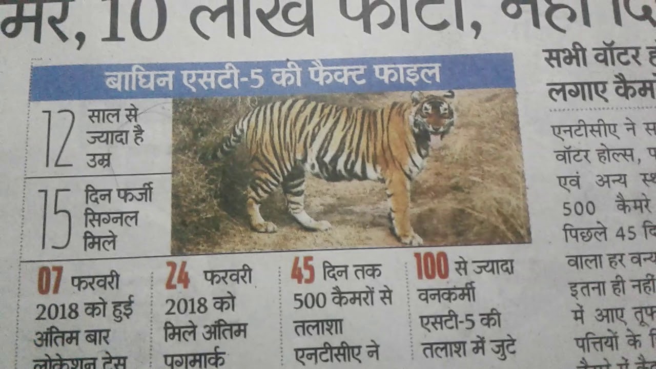 30 मई 2018 || राजस्थान पत्रिका || Rajasthan patrika || Hindi patrika ...