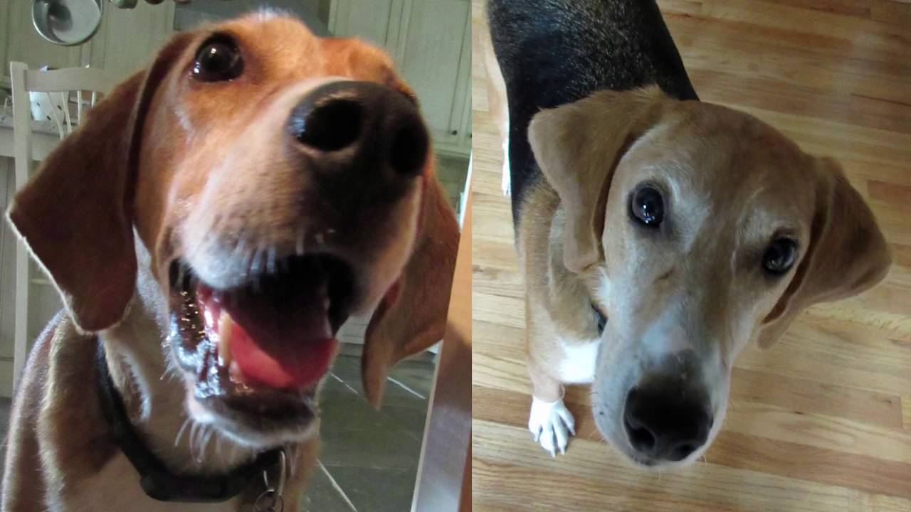 LPAA 101: What is A FROM - YouTube