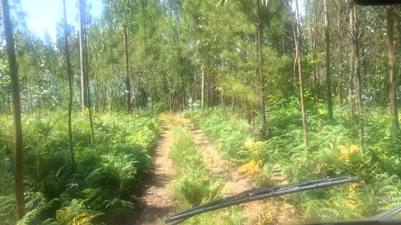 Driving Onto Quinta Majay - YouTube