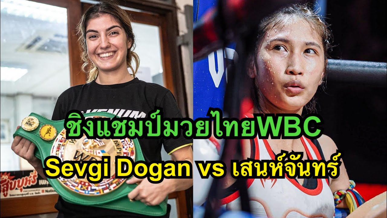 ชิงแชมป์WBCสุดมันส์ เซฟกี้เจอนักมวยไทยฟันศอกใส่หน้า โคตรโหด Sevgi Dogan ...