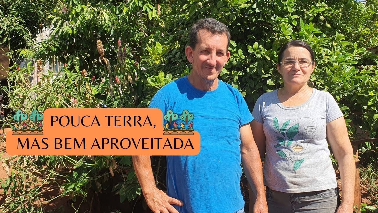 POUCA TERRA MAS BEM APROVEITADA| Vagner Sorocaba #plantio #verdura # ...