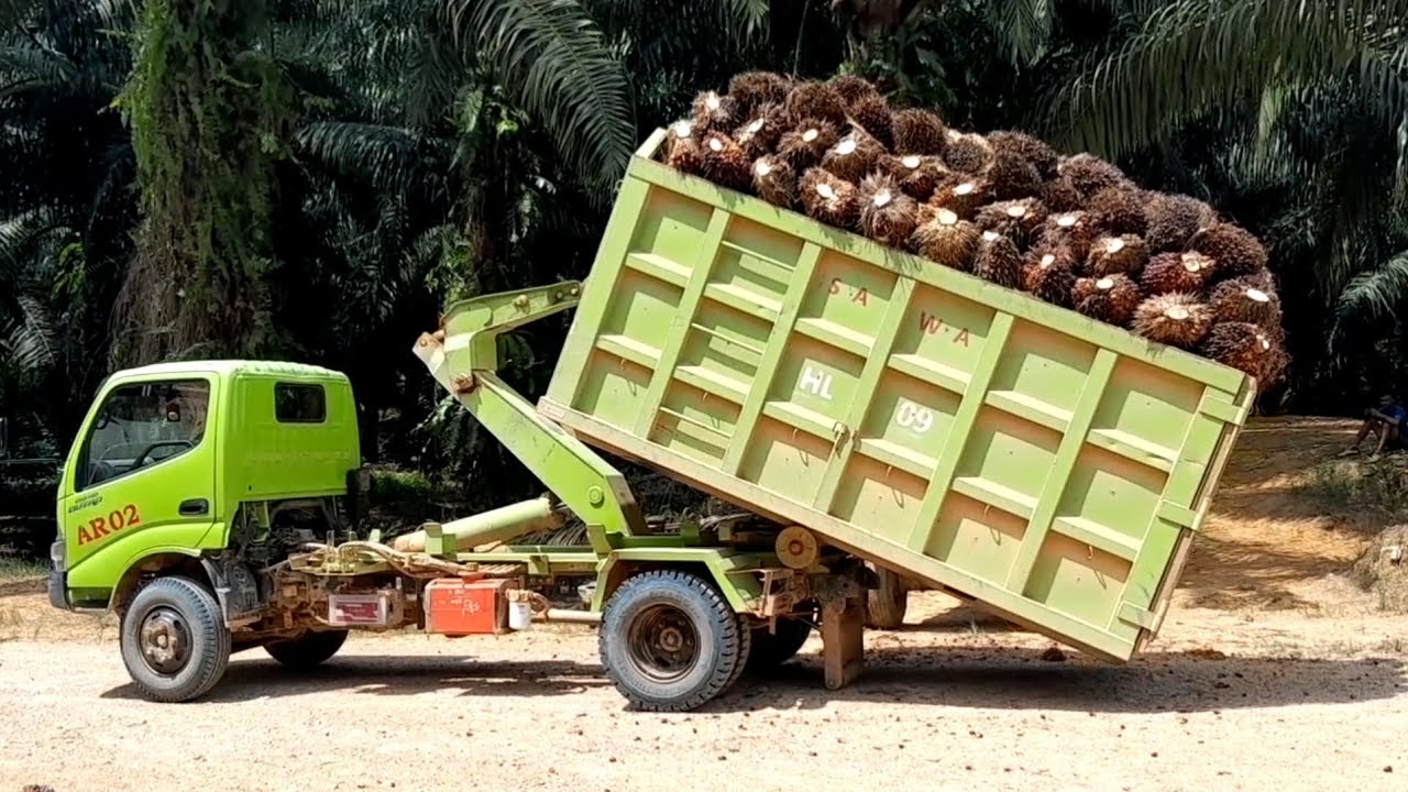 dump truck amrol || truck pemuat sawit || truck jomplang - YouTube