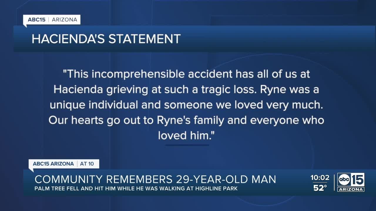 Man killed after large palm tree falls on top of him at park near South ...