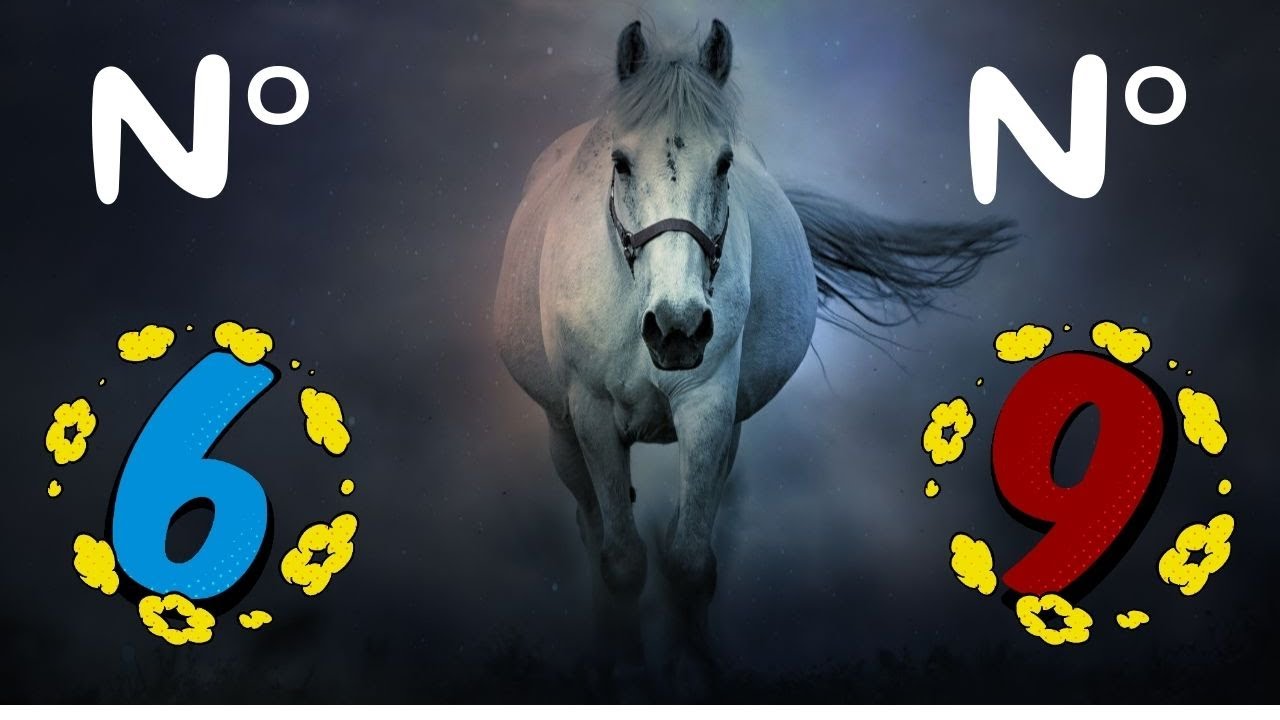 🐎 MÉTHODE POUR GAGNER AU PMU BASÉE SUR LES NUMÉROS 6 ET 9 EN SIMPLE ...