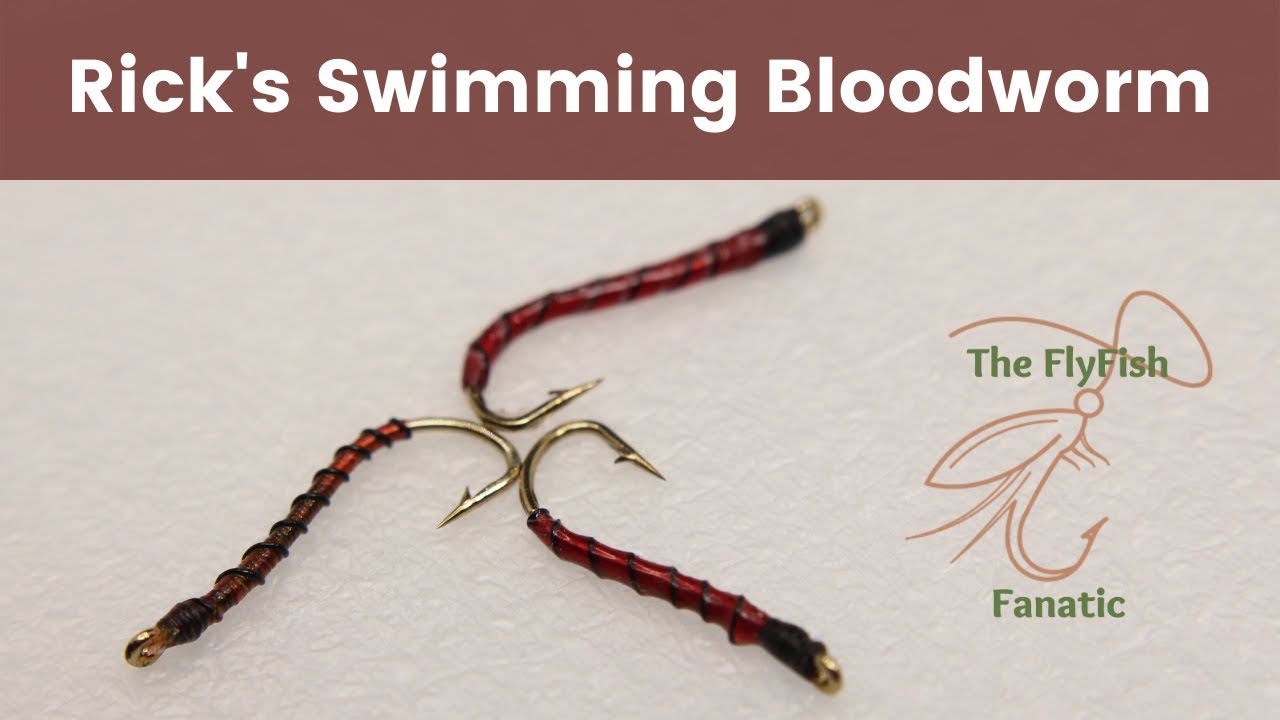 The Swimming Bloodworm - YouTube