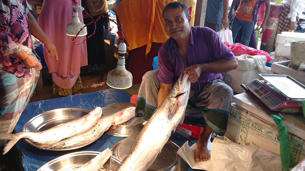 10 KG Boal Fish || River fish boal || Boal Mas || Boal fish price - YouTube