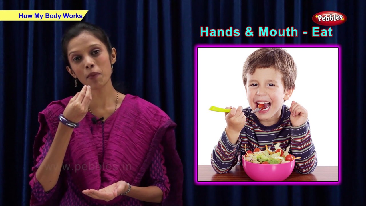 Learn How Our Body Works For Children | Science Basics For Kids ...