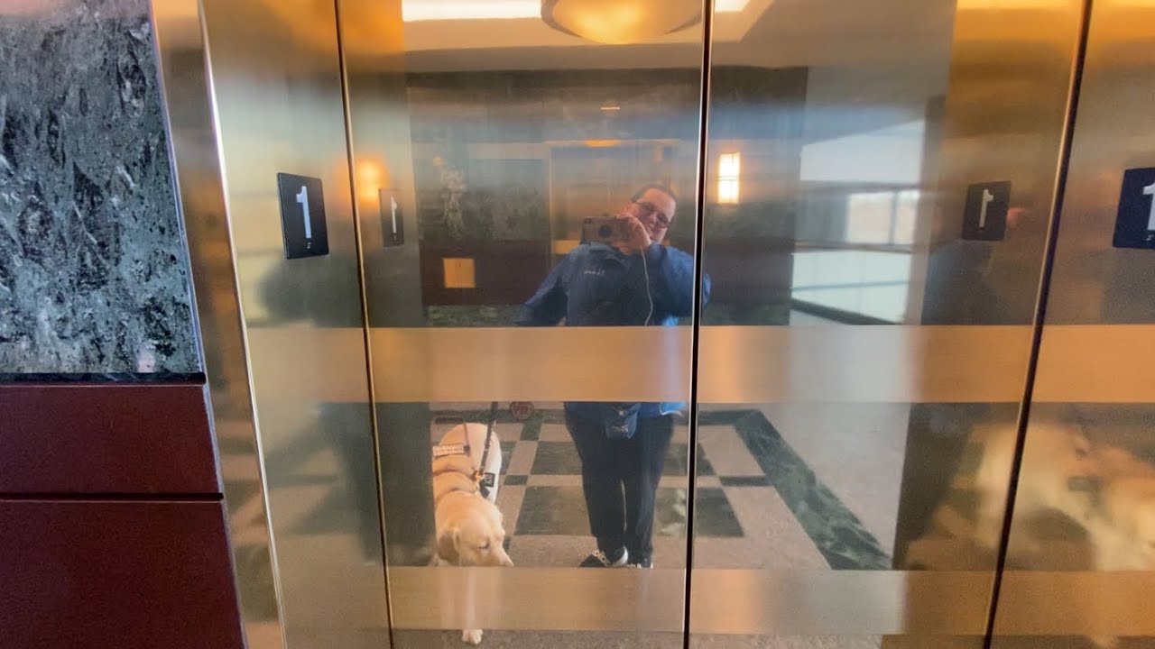 Watch what My Guide Dog does when I film an Elevator!-Fujitec Traction ...