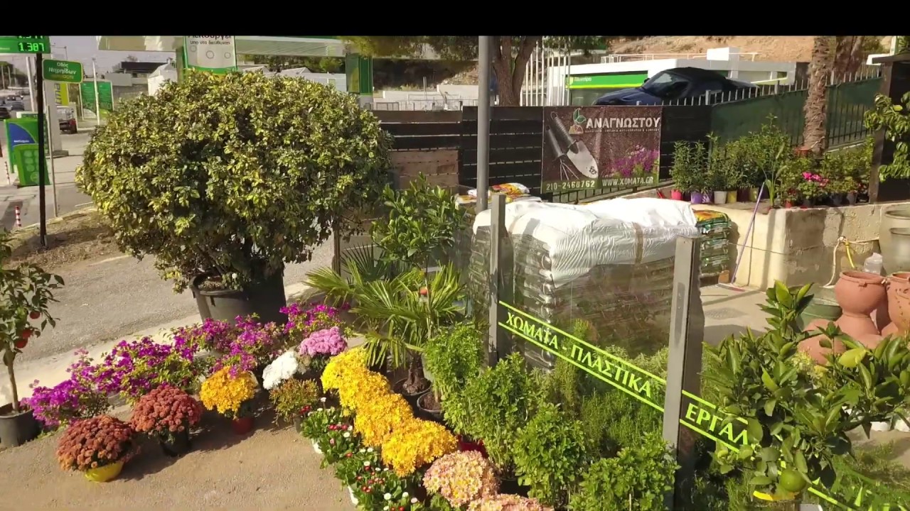 ΦΥΤΩΡΙΟ ΒΑΡΗΣ nursery garden - YouTube