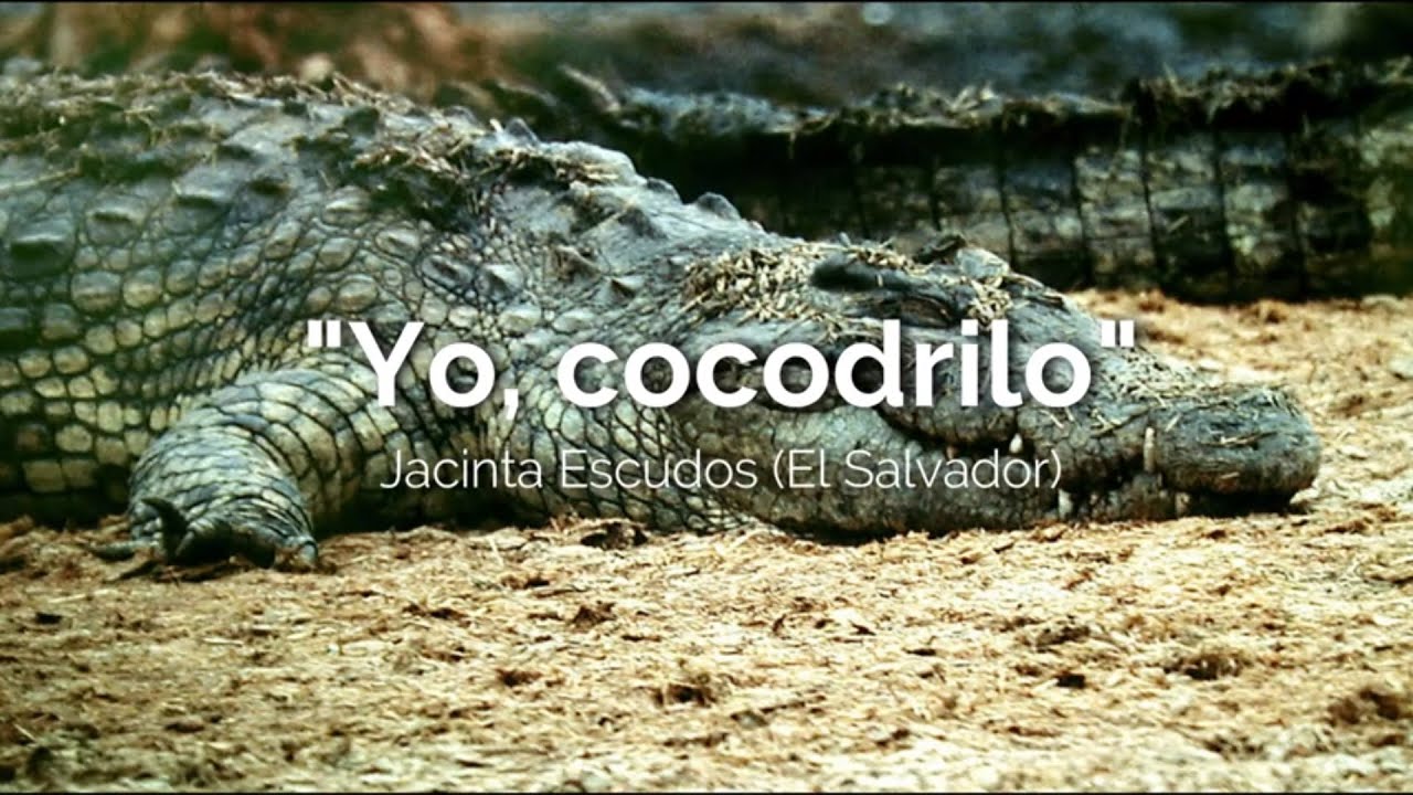 Audiolibro 1. "Yo, cocodrilo", de Jacinta Escudos - YouTube