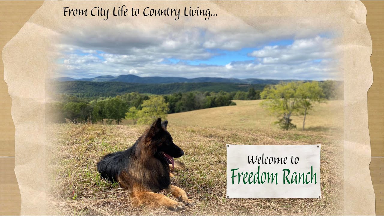 #1 Welcome to Freedom Ranch ~ Our first time seeing our dream land ...