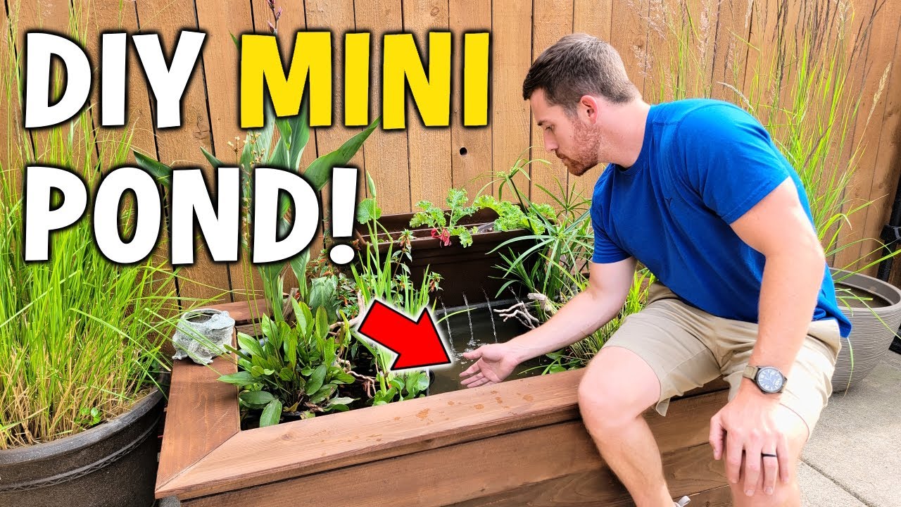 Making A Fancy DIY Patio Fish Pond w/ Aquaponics Filter! - YouTube