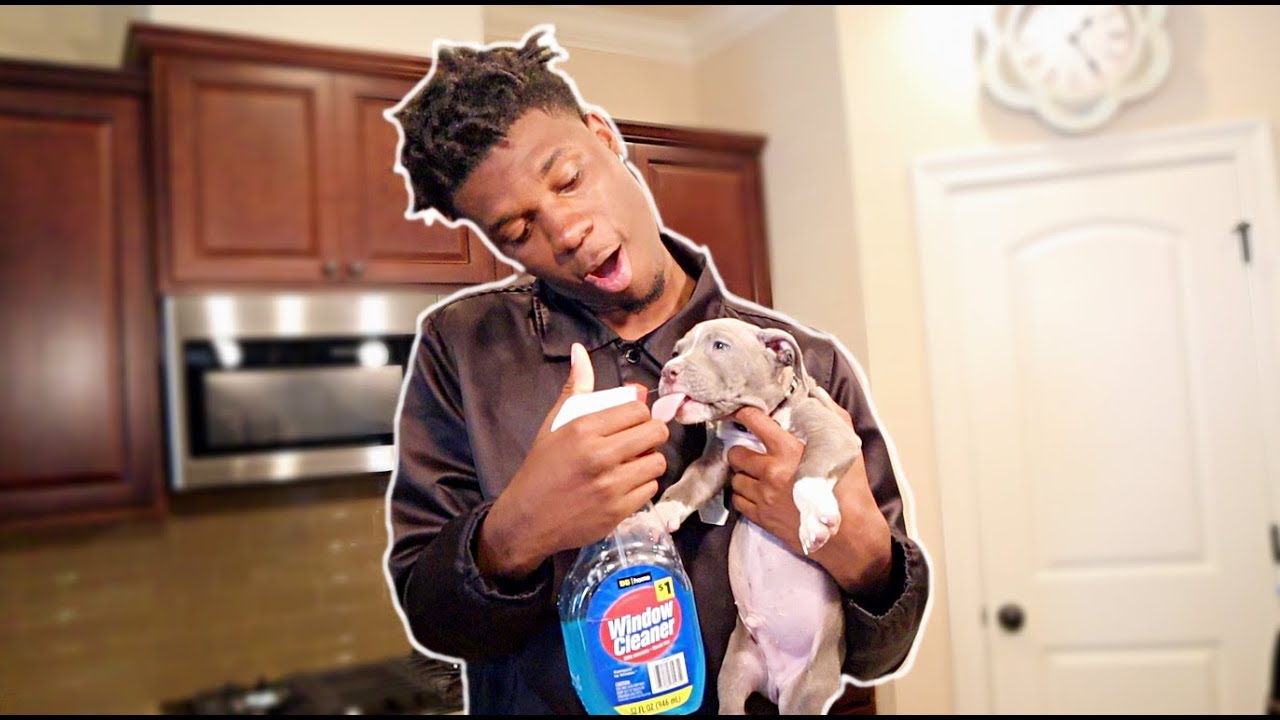 GATORADE IN WINDEX BOTTLE PRANK ON GIRLFRIEND!!! - YouTube
