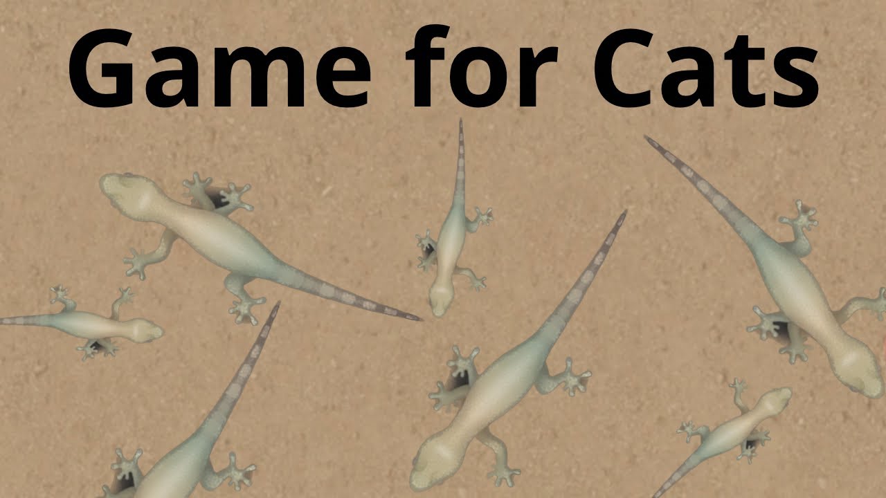 Funny Game for cat to Watch when they are Alone - YouTube