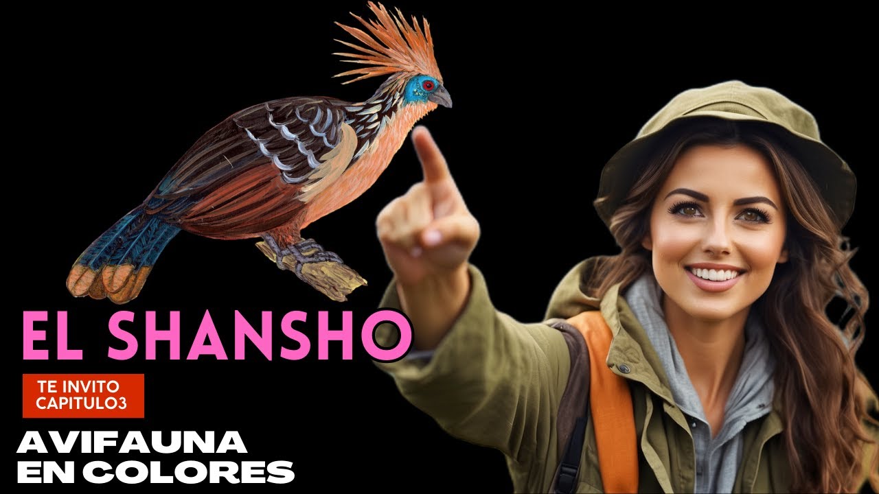 EL SHANSHO - YouTube