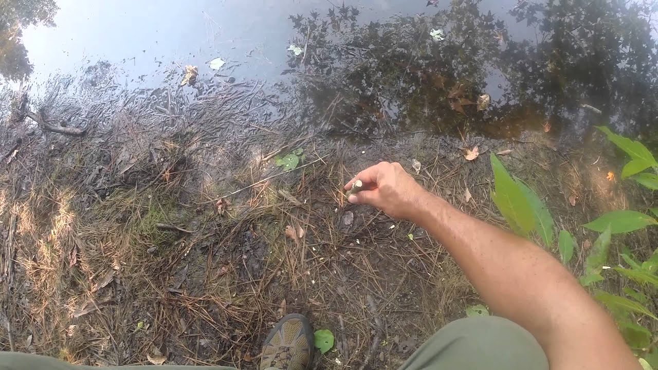 Survival fishing kit + fishing snare demo - YouTube