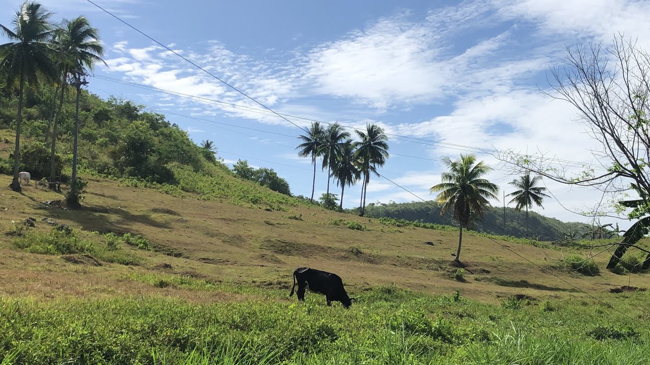 My first nature trip to Bogo province of Cebu City - YouTube