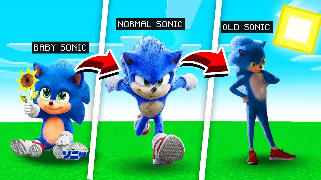 Minecraft : THE LIFE CYCLE OF SONIC!(Ps3/Xbox360/PS4/XboxOne/PE/MCPE ...