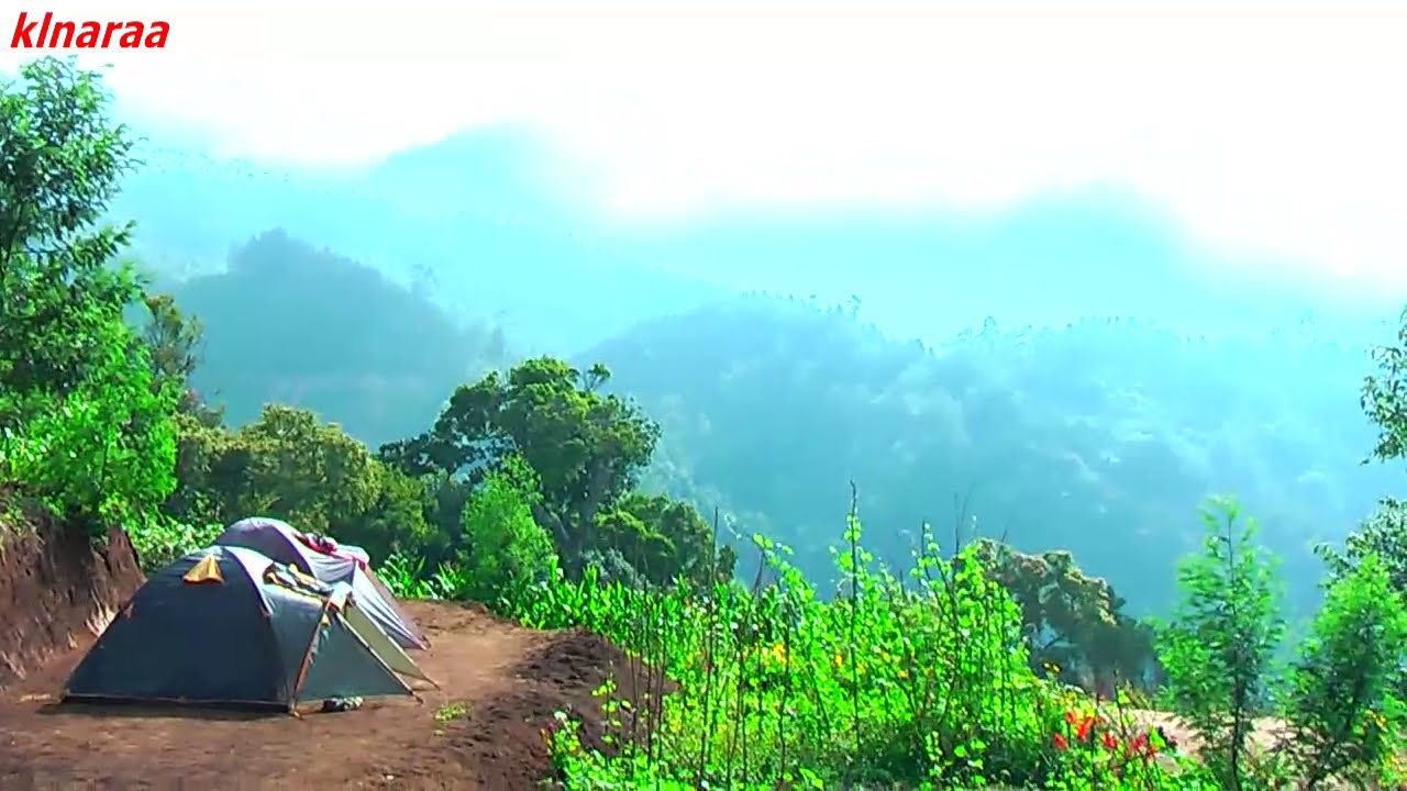 CAMPING ON A HIGH MOUNTAIN RIDGE MUNNAR HILLS - YouTube