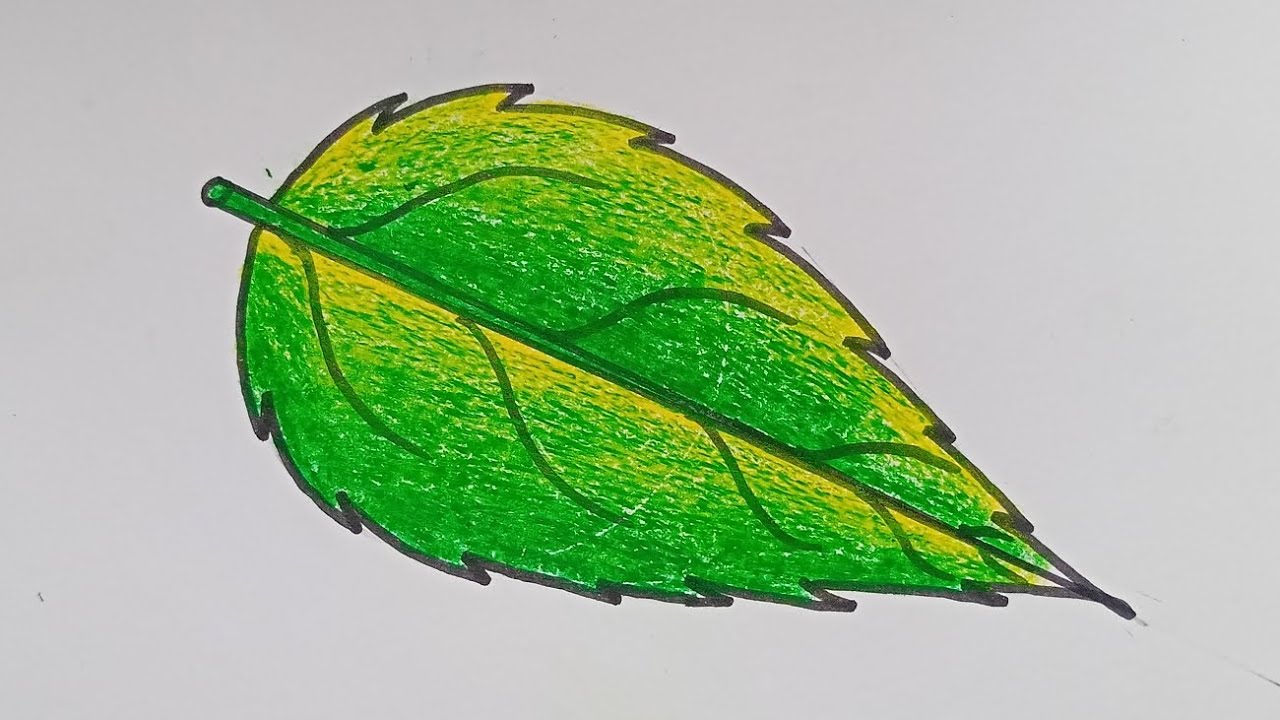 খুব সহজে পাতা আঁকা 😍। How to draw a leaf. #drawing #art - YouTube