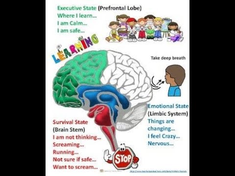 Positive Parenting to yield optimal development, behavior, and ...