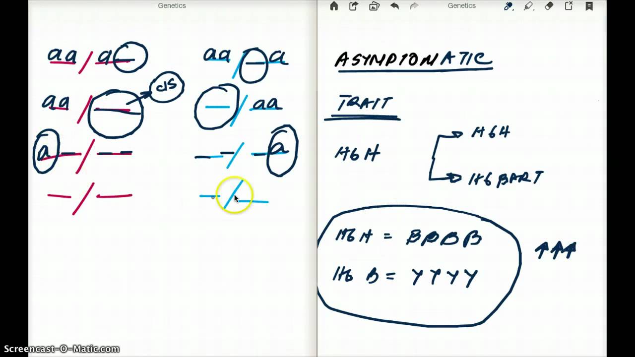 Alpha Thalassemia Genetics Question Made Simple - YouTube