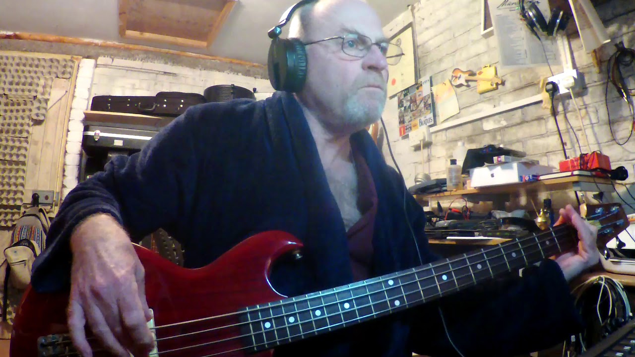 Milk & Alcohol (Bass Cover) - YouTube