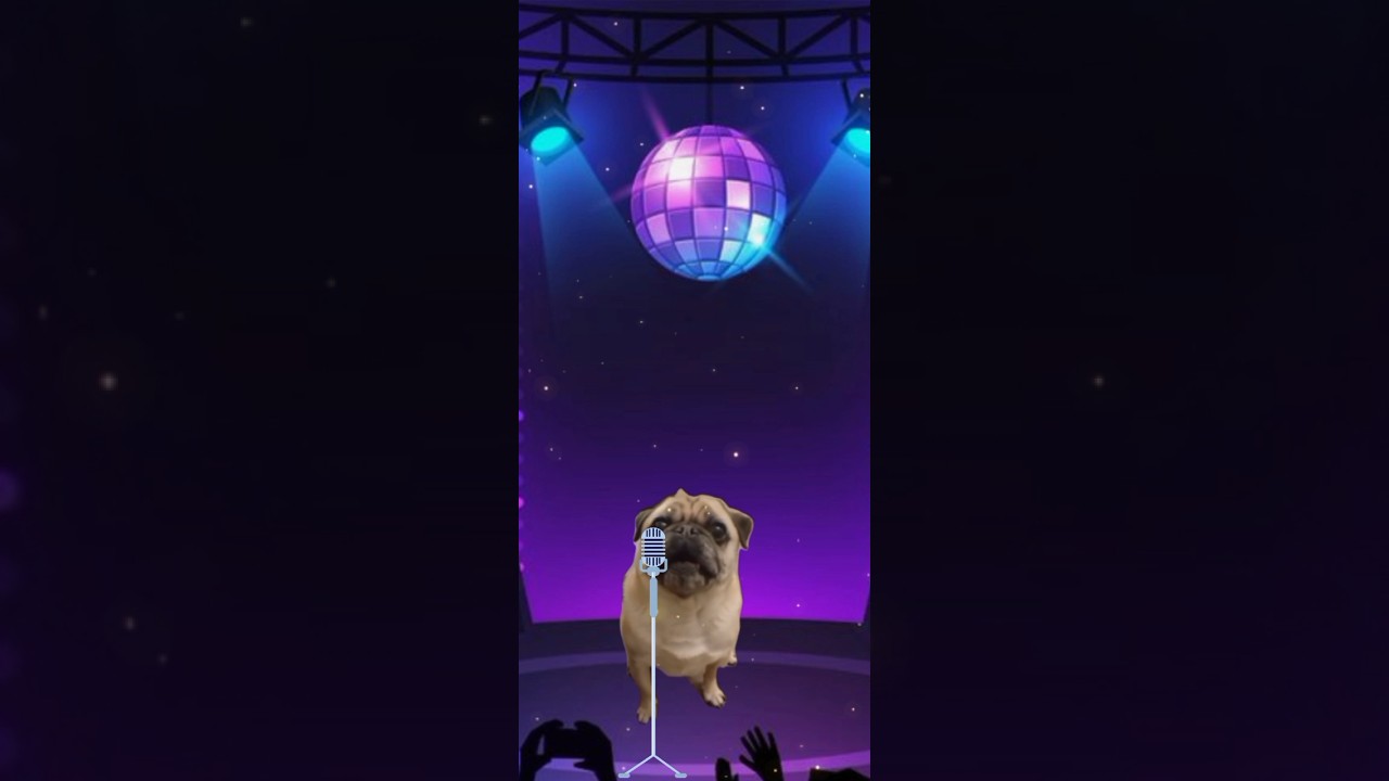 very cute and funny, pug singing, performing talented pets singing dog ...