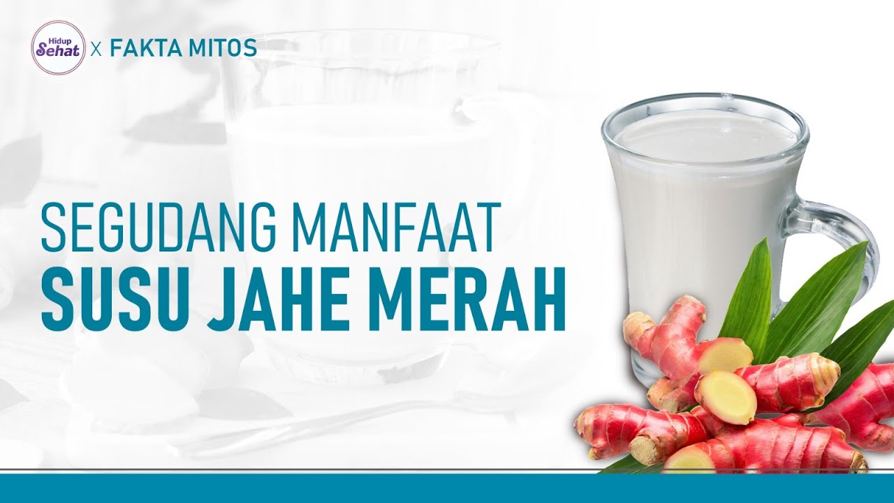 Susu Jahe Merah, Minuman Hangat Kaya Manfaat! | Hidup Sehat tvOne - YouTube