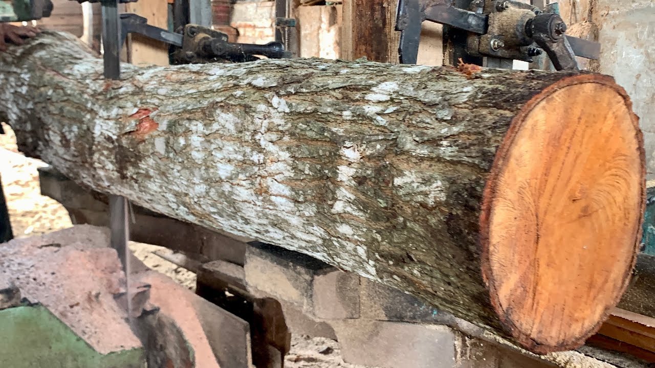 The process of sawing wood using a Benso machine - quality young wood ...