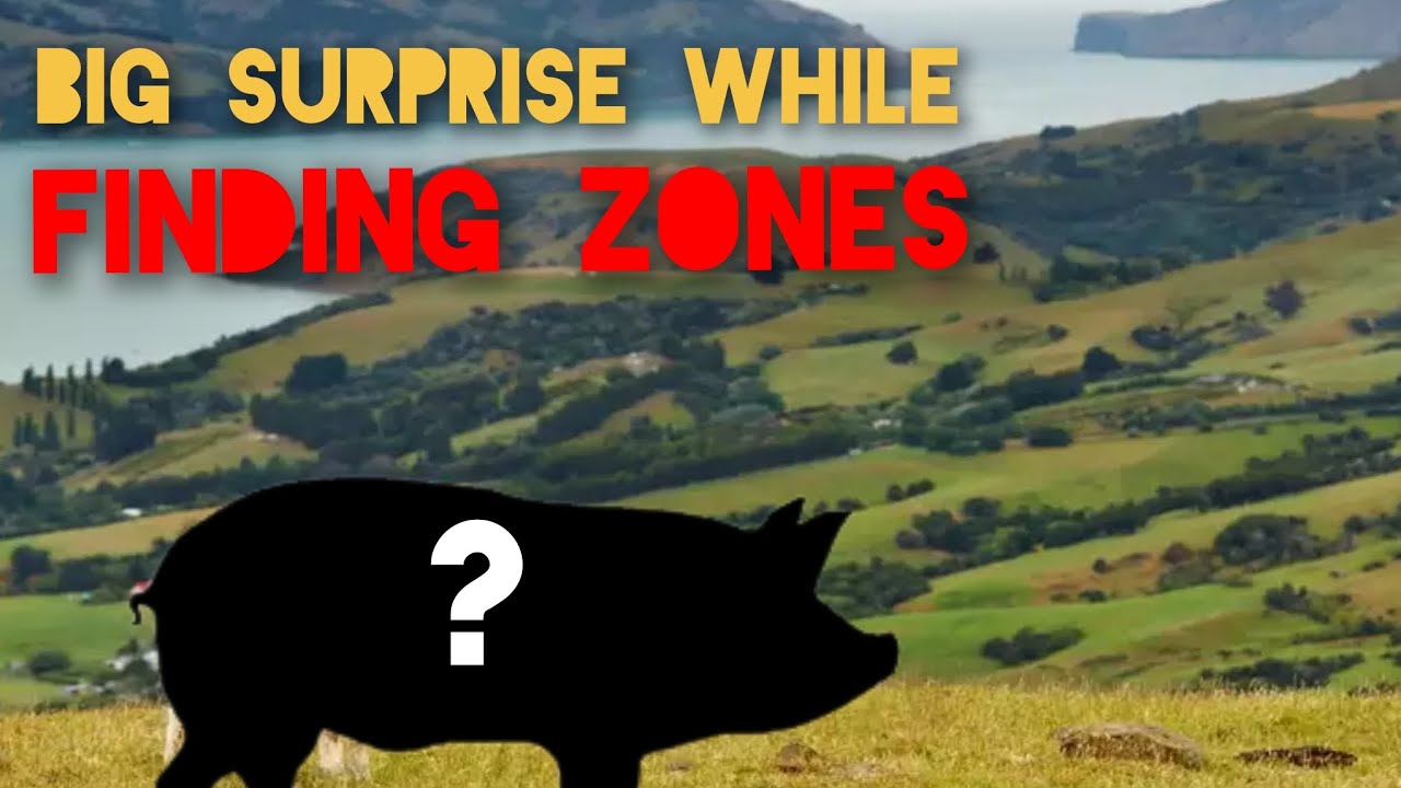 Finding Zones for the red deer grind (COTW) - YouTube