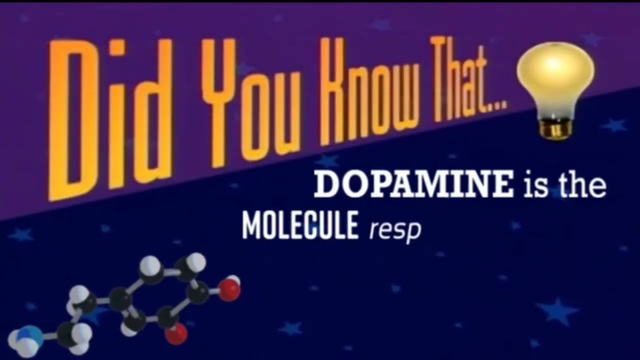 Bill Nye Did You Know