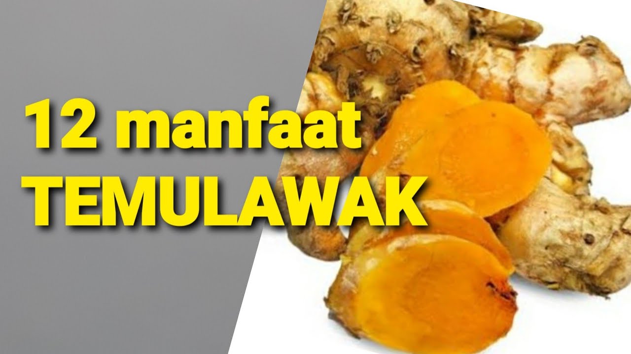 benefits of temulawak | fimu channel - YouTube
