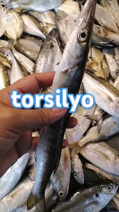 torsilyo #viralvideo #freshseafoods #seafood #food #fish #business #seafoodmarket - YouTube