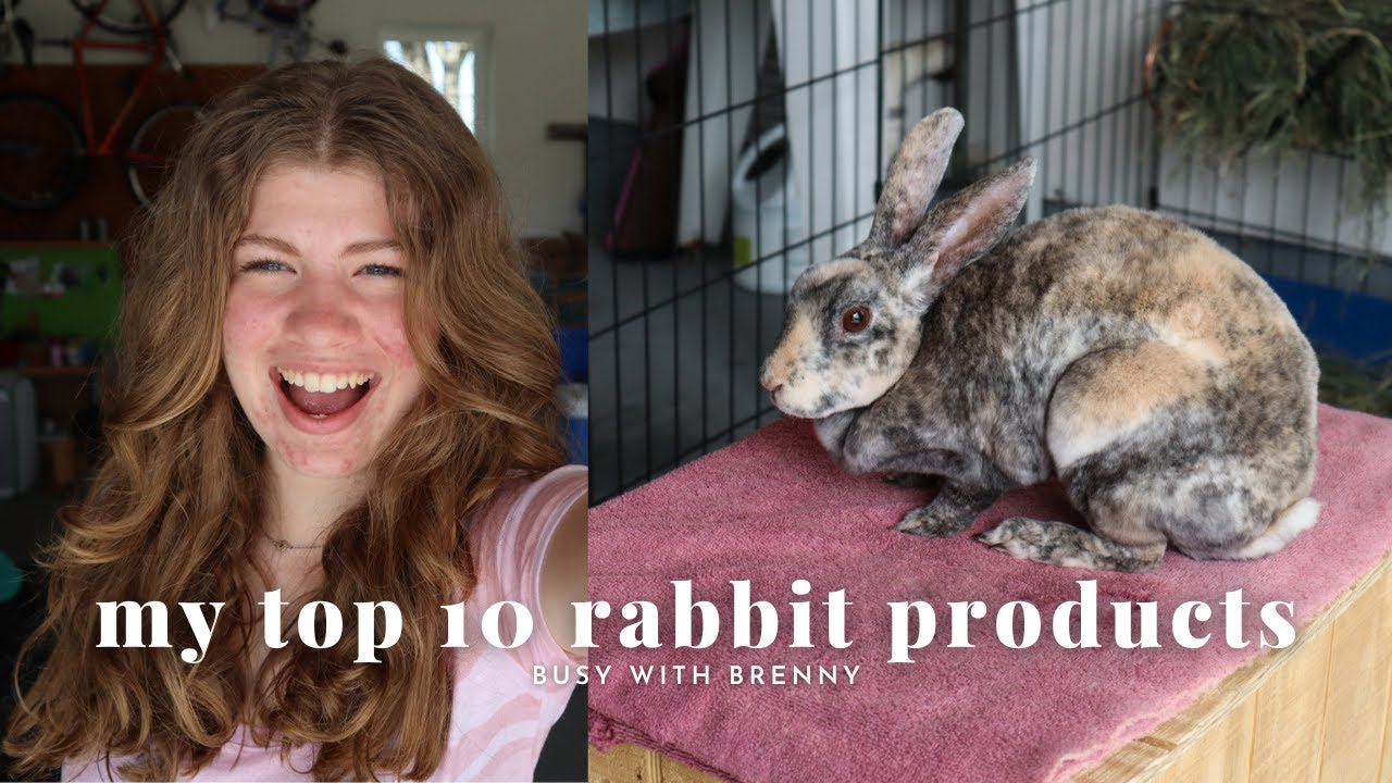 My TOP 10 FAVORITE Rabbit Products - YouTube