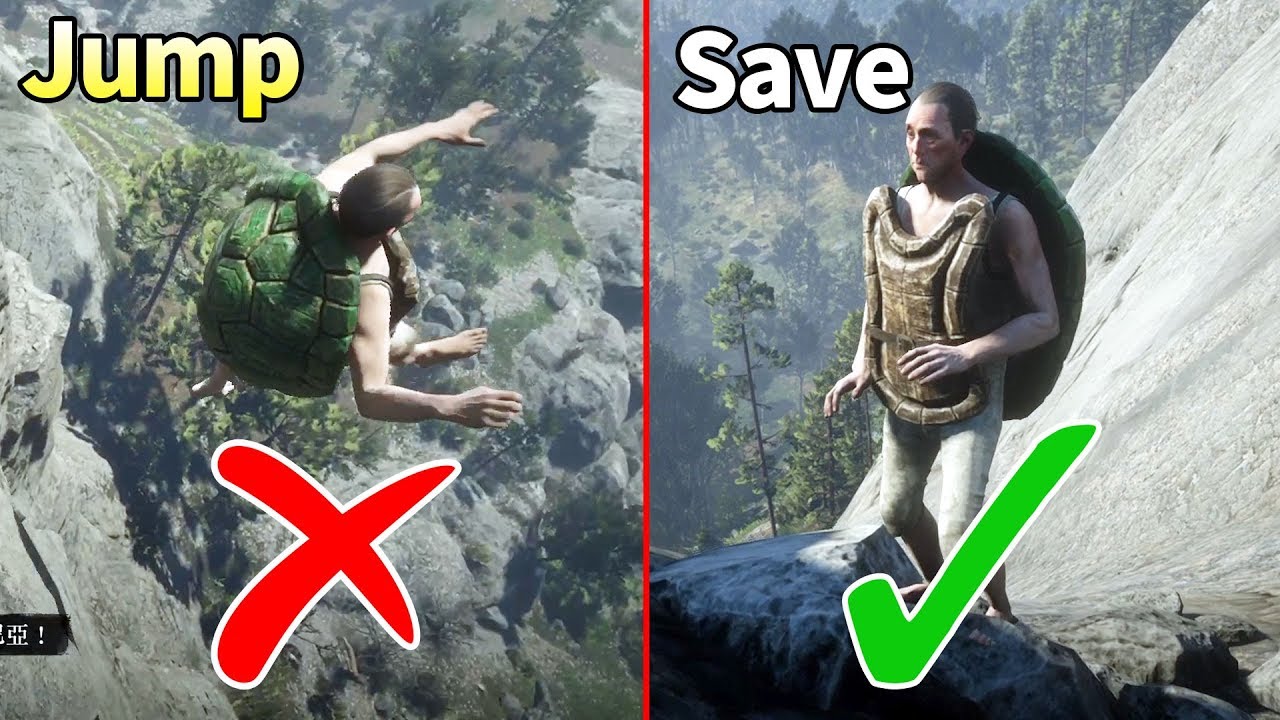 I Stopped Chelonian Master from Jumping Off The Cliff - YouTube