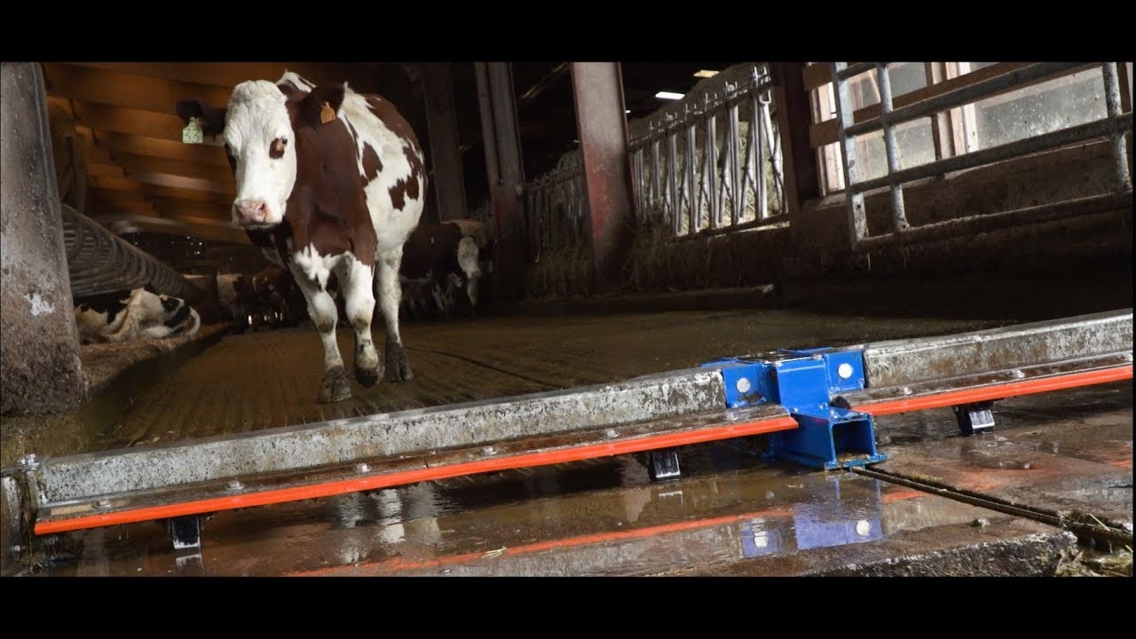 Manure Scrapers (available in Europe) (English) - YouTube