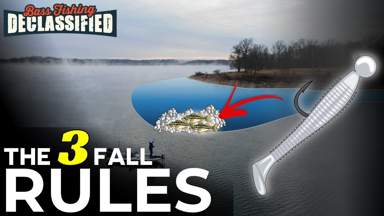 10 Years of Fall Swimbait Fishing Taught Me This... - YouTube
