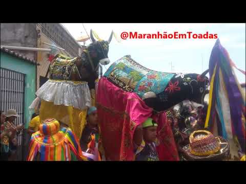 🎵🎤 Base/ Instrumental Para Toadas de Bumba Boi Sotaque de Matraca - YouTube