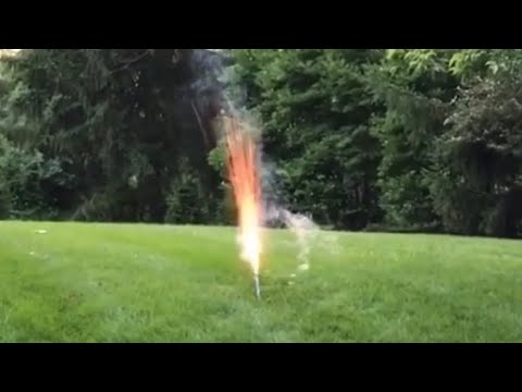 I ACCIDENTALLY BLEW UP A BIRD WITH A FIREWORK! (Read description after ...