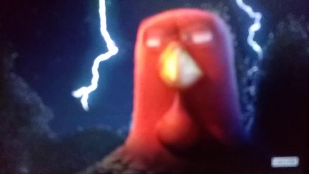 Free birds - Jake speaks to Grayson - YouTube