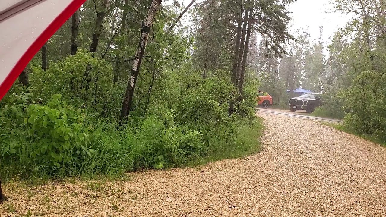 Camping with Kitties - Hecla Island - YouTube